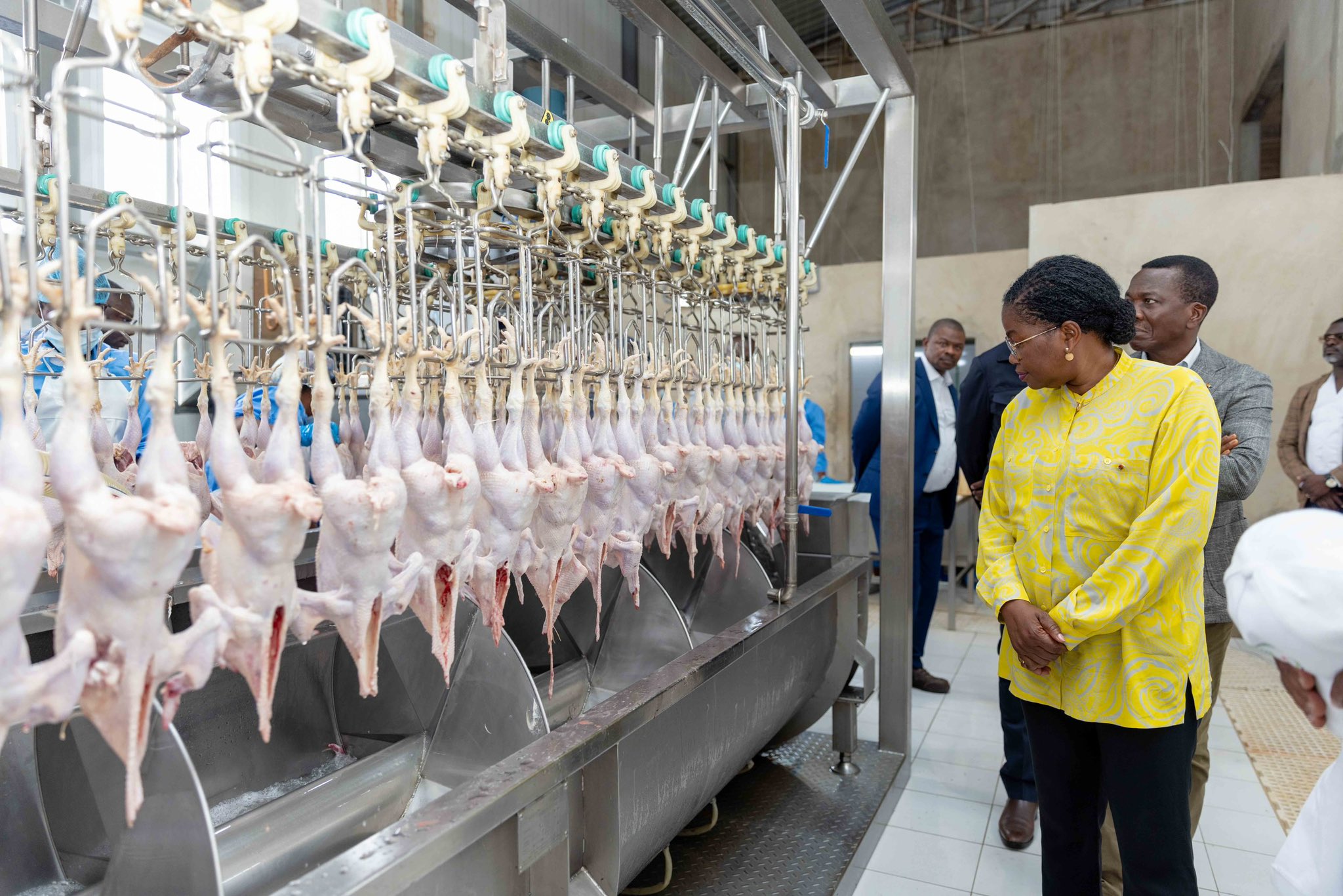 Poulets bio : dans le Zio, le Premier ministre encourage l’initiative ...